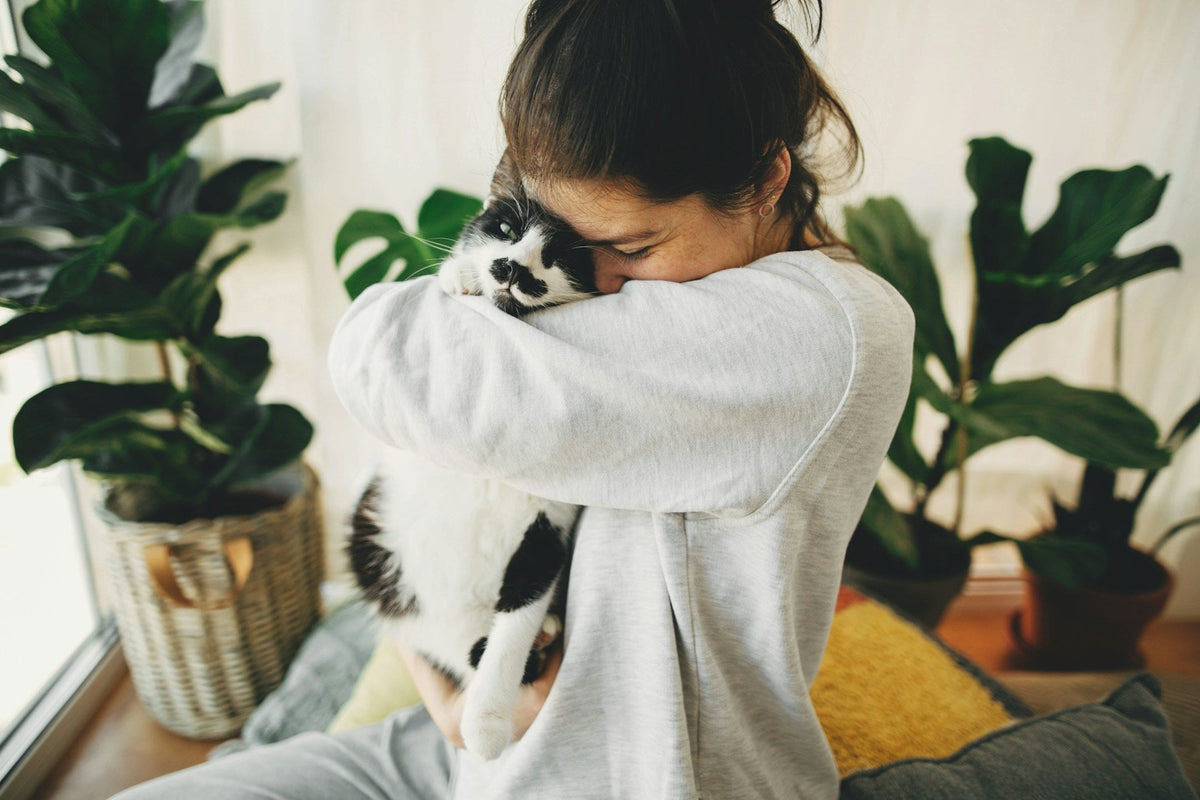 Quiz: 10 Ways You Might Be a Crazy Cat Person 🐱😸 - (What's Your Score ...
